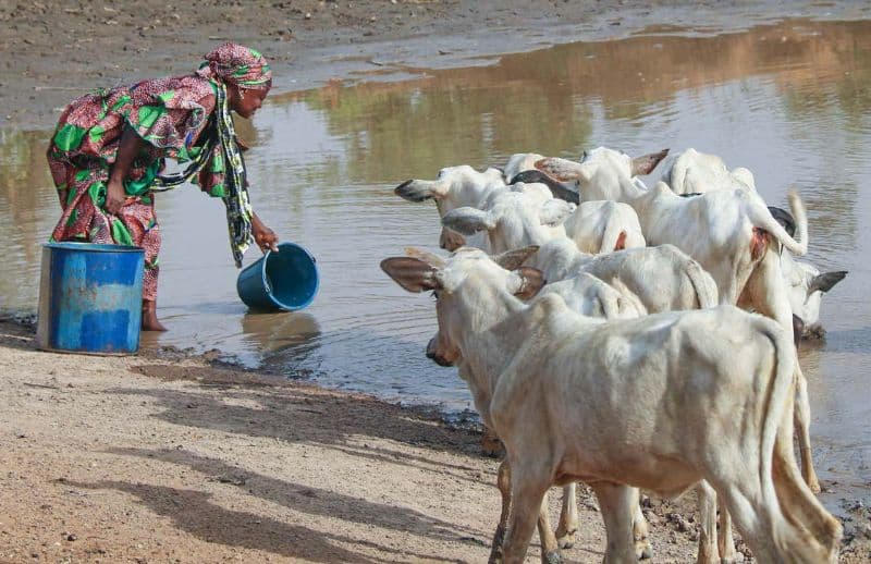 The problem: water shortage, malnutrition and stolen choices